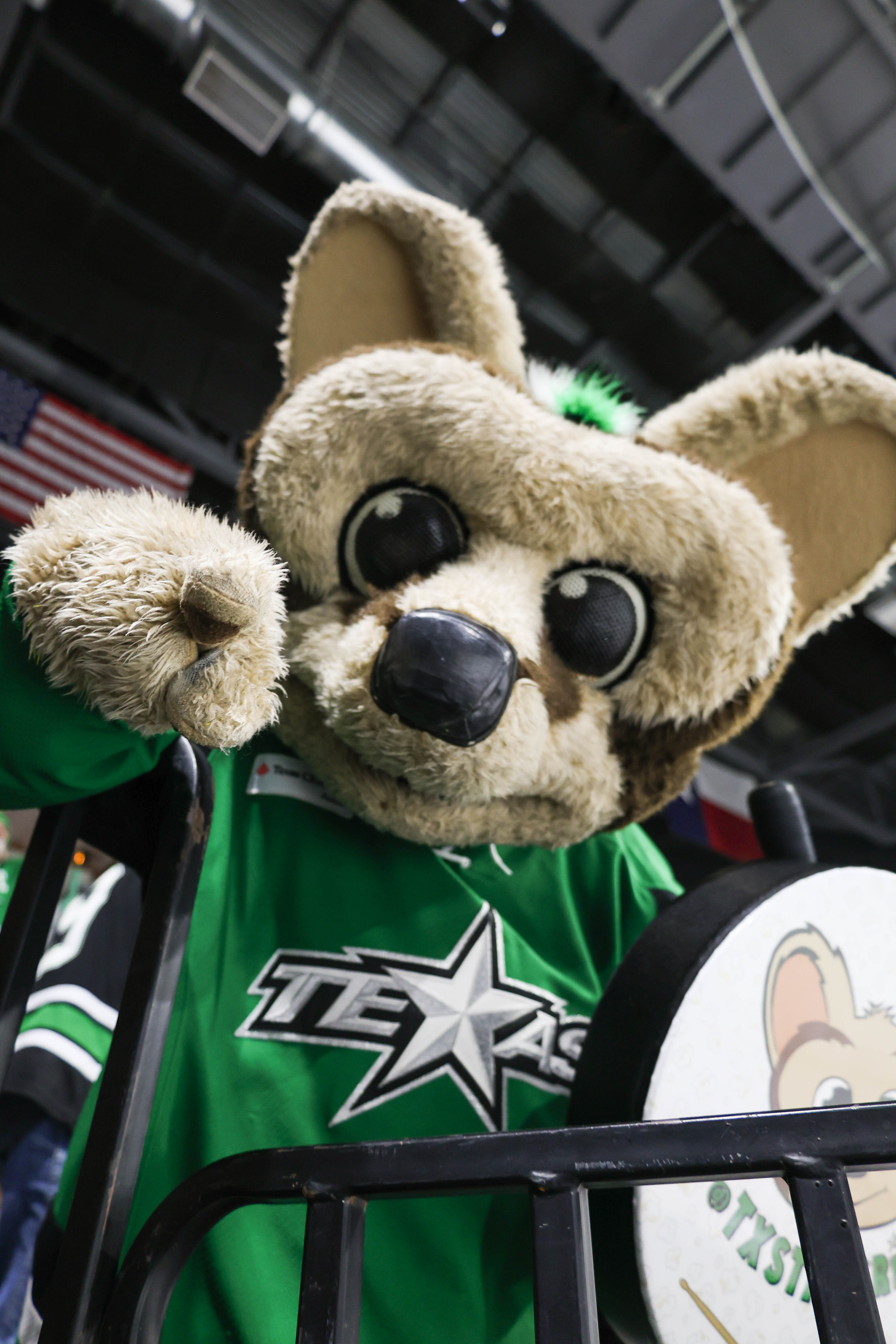 Ringo's Rascals Kids Club | Texas Stars | AHL Affiliate to Dallas Stars